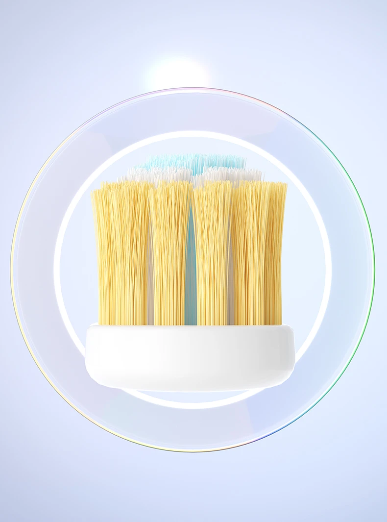 Triple Toothbrush Family Set – Custom Premium Oral Care